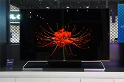 京东方发布55英寸8K AMQLED 显示屏样机，采用量子点“电致发光”原理_ZNDS资讯